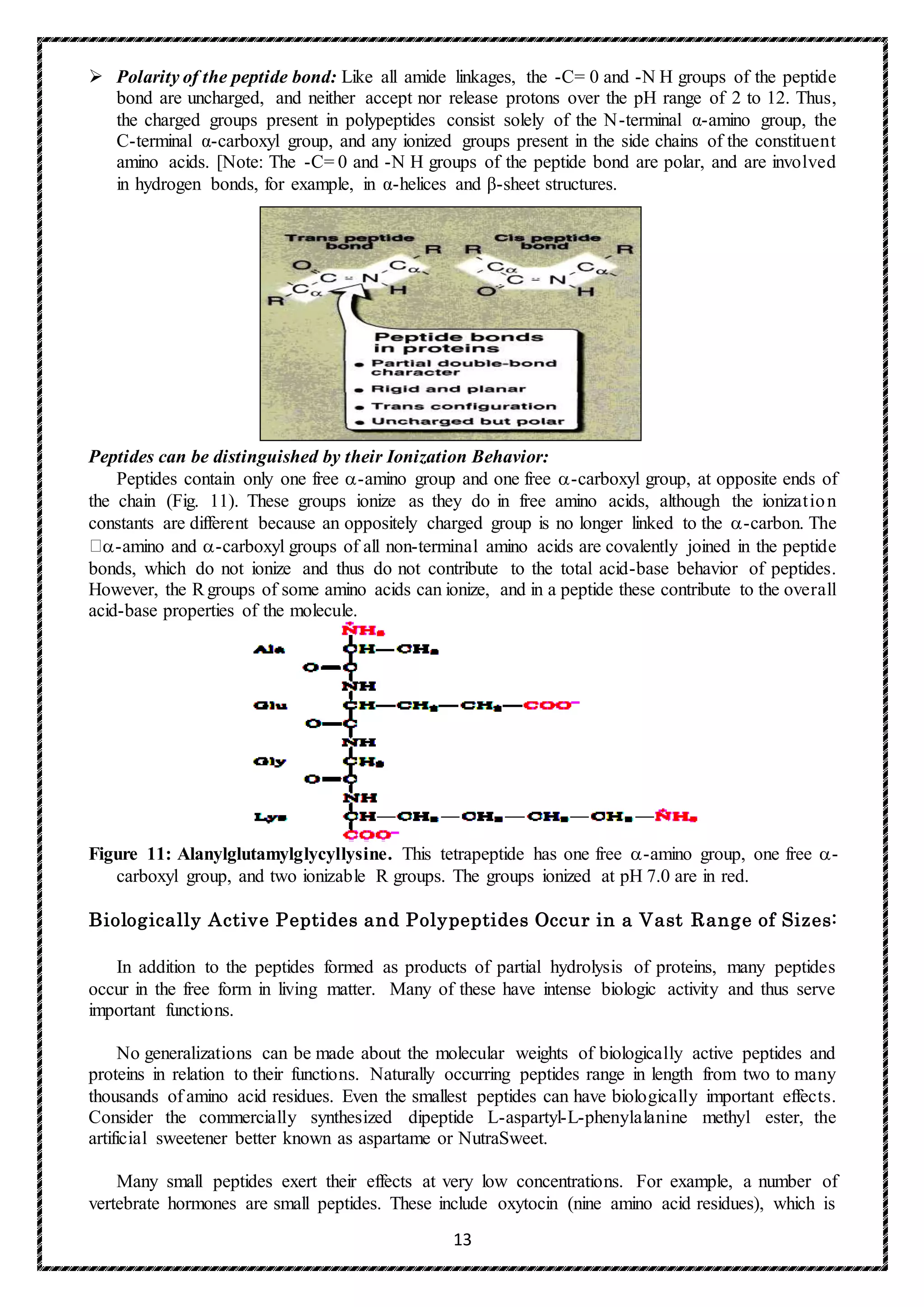 protein chemistry | PDF