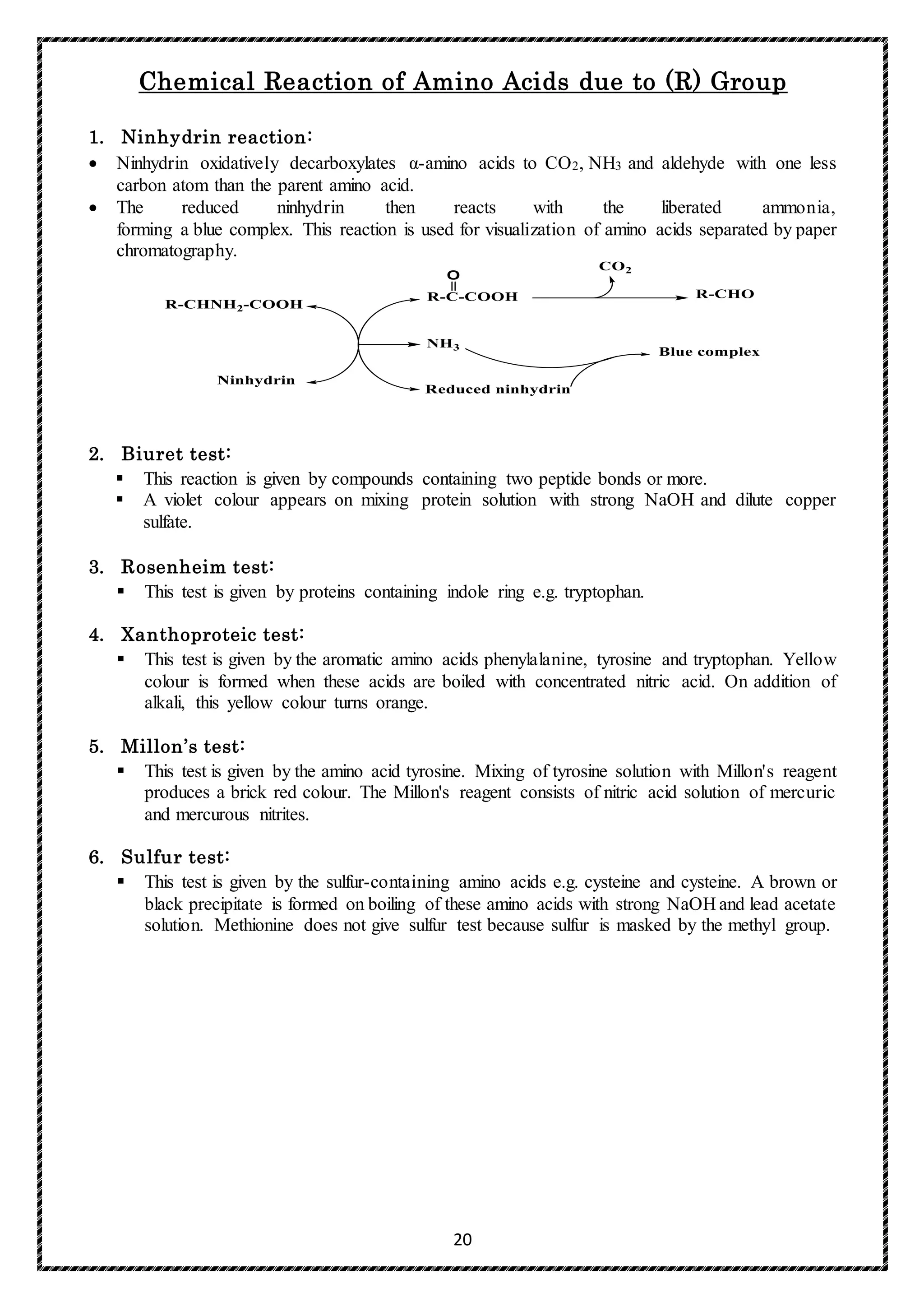 protein chemistry | PDF
