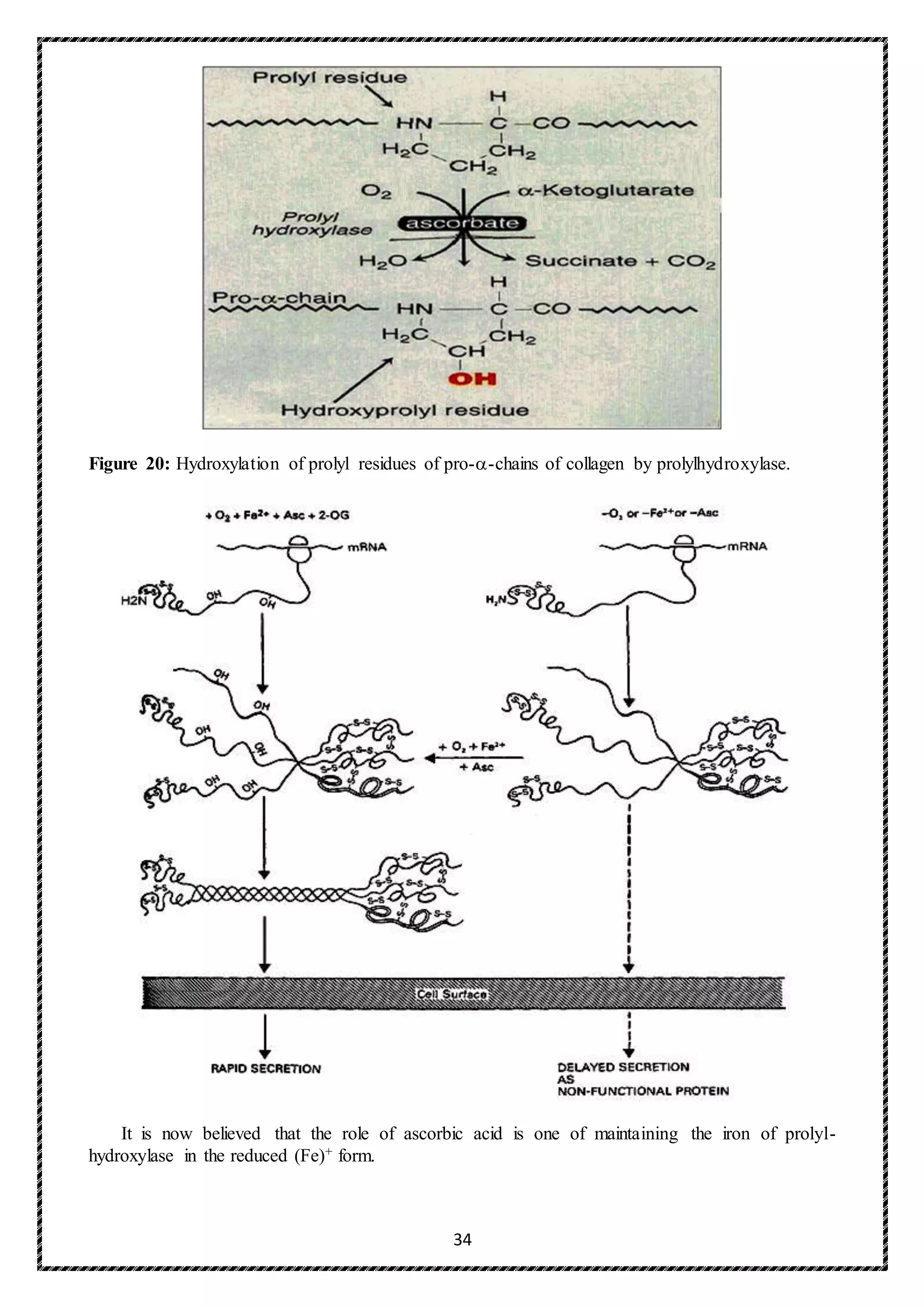 protein chemistry | PDF