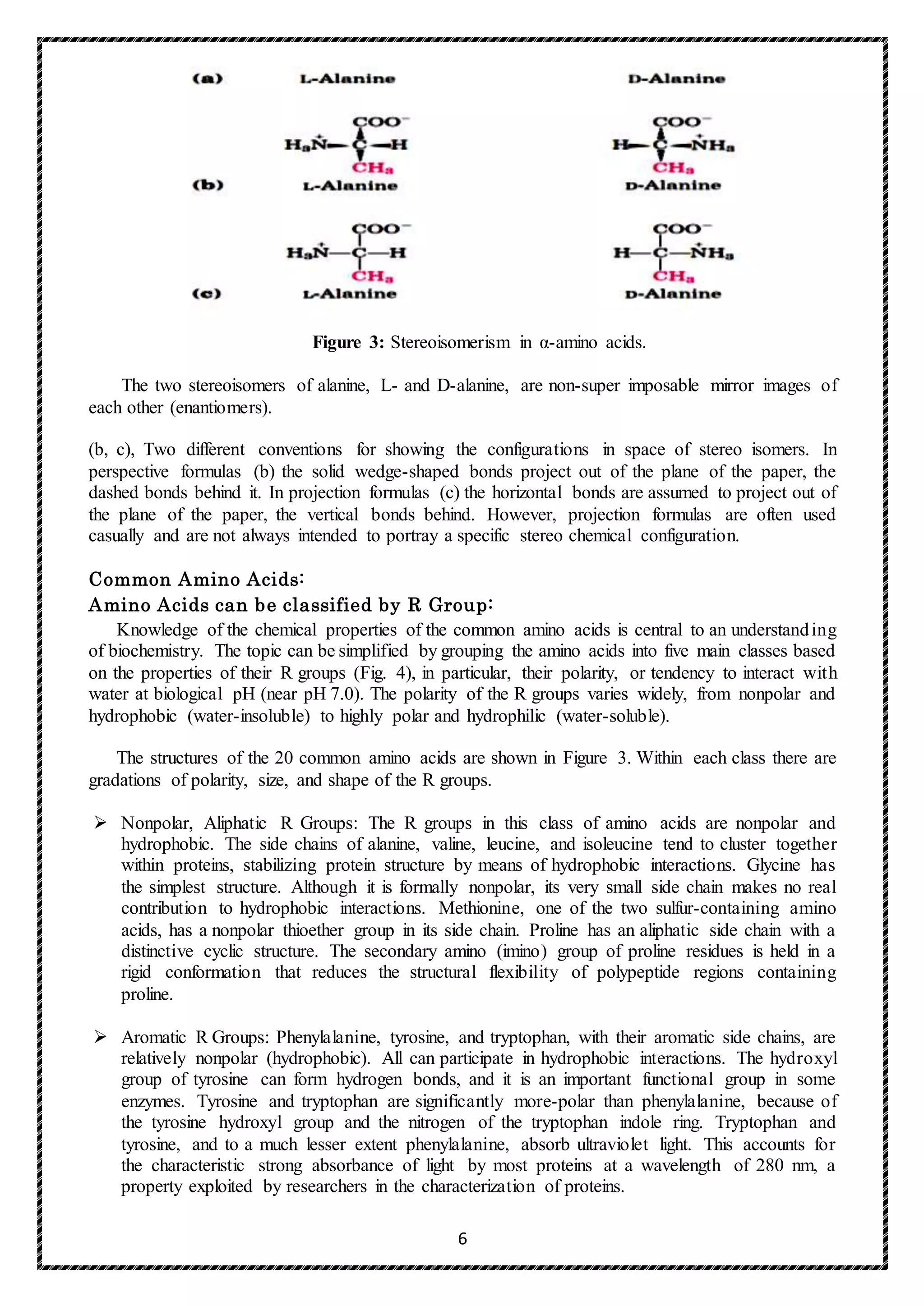 protein chemistry | PDF