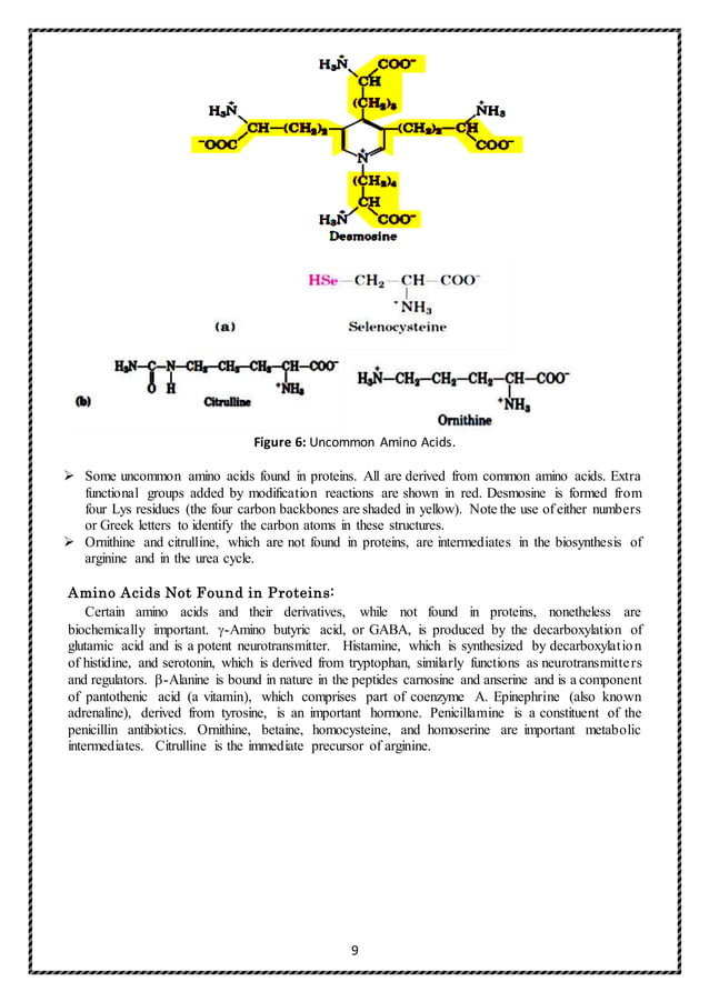 protein chemistry | PDF