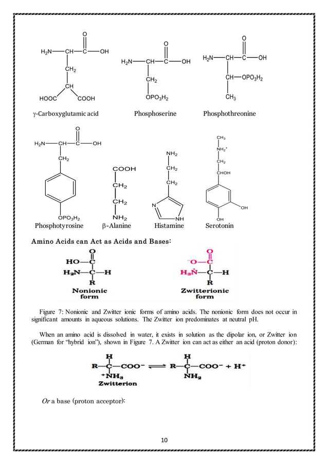 protein chemistry | PDF