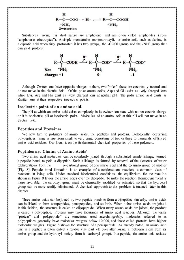 protein chemistry | PDF