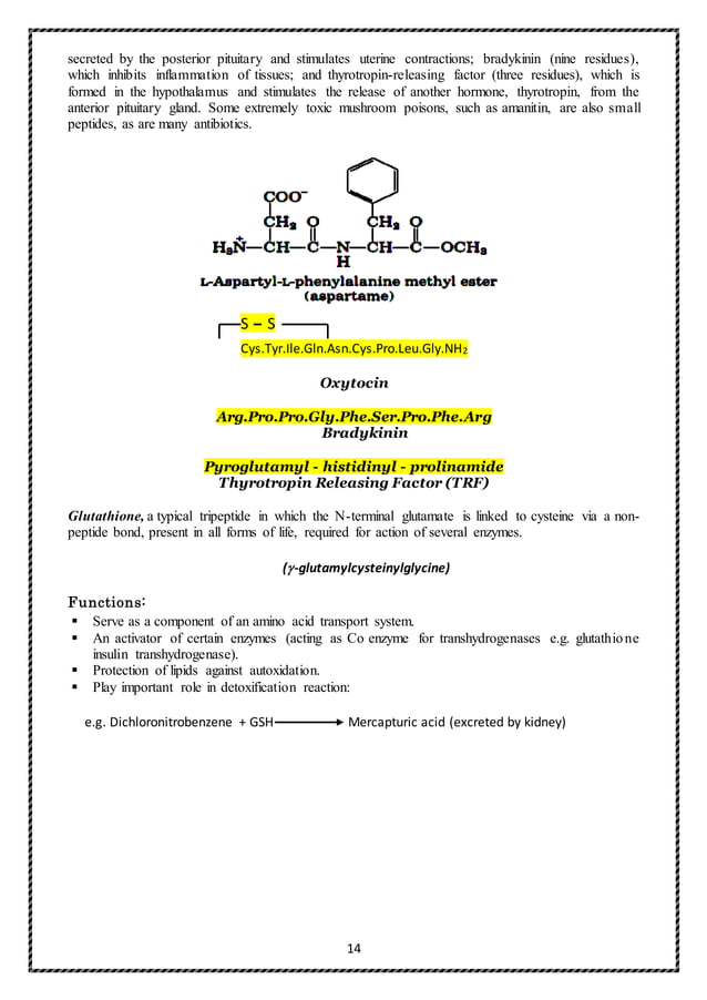 protein chemistry | PDF
