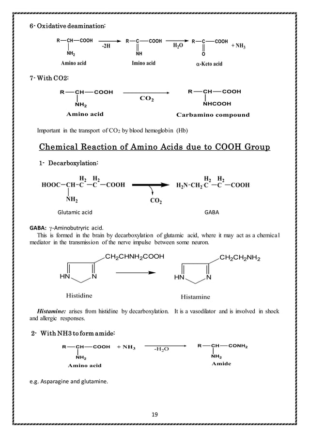 protein chemistry | PDF