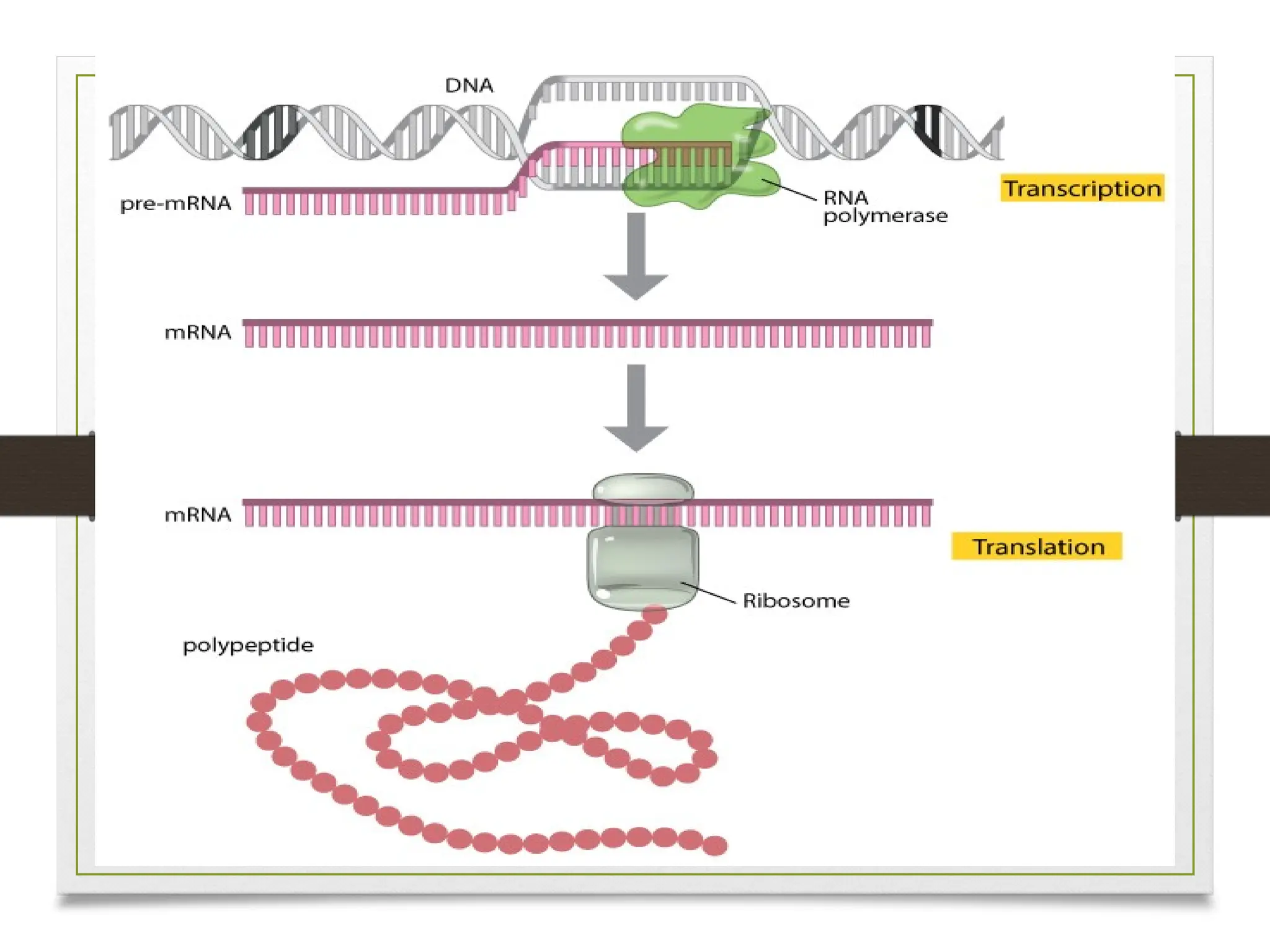 IObit Driver Booster Pro 12.4-12.5 license keys 2025-2026 | PPTX