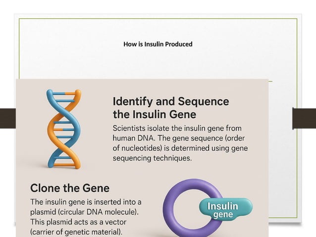 IObit Driver Booster Pro 12.4-12.5 license keys 2025-2026 | PPTX