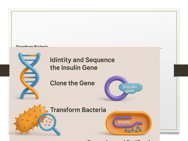 IObit Driver Booster Pro 12.4-12.5 license keys 2025-2026 | PPTX