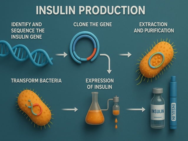 IObit Driver Booster Pro 12.4-12.5 license keys 2025-2026 | PPTX