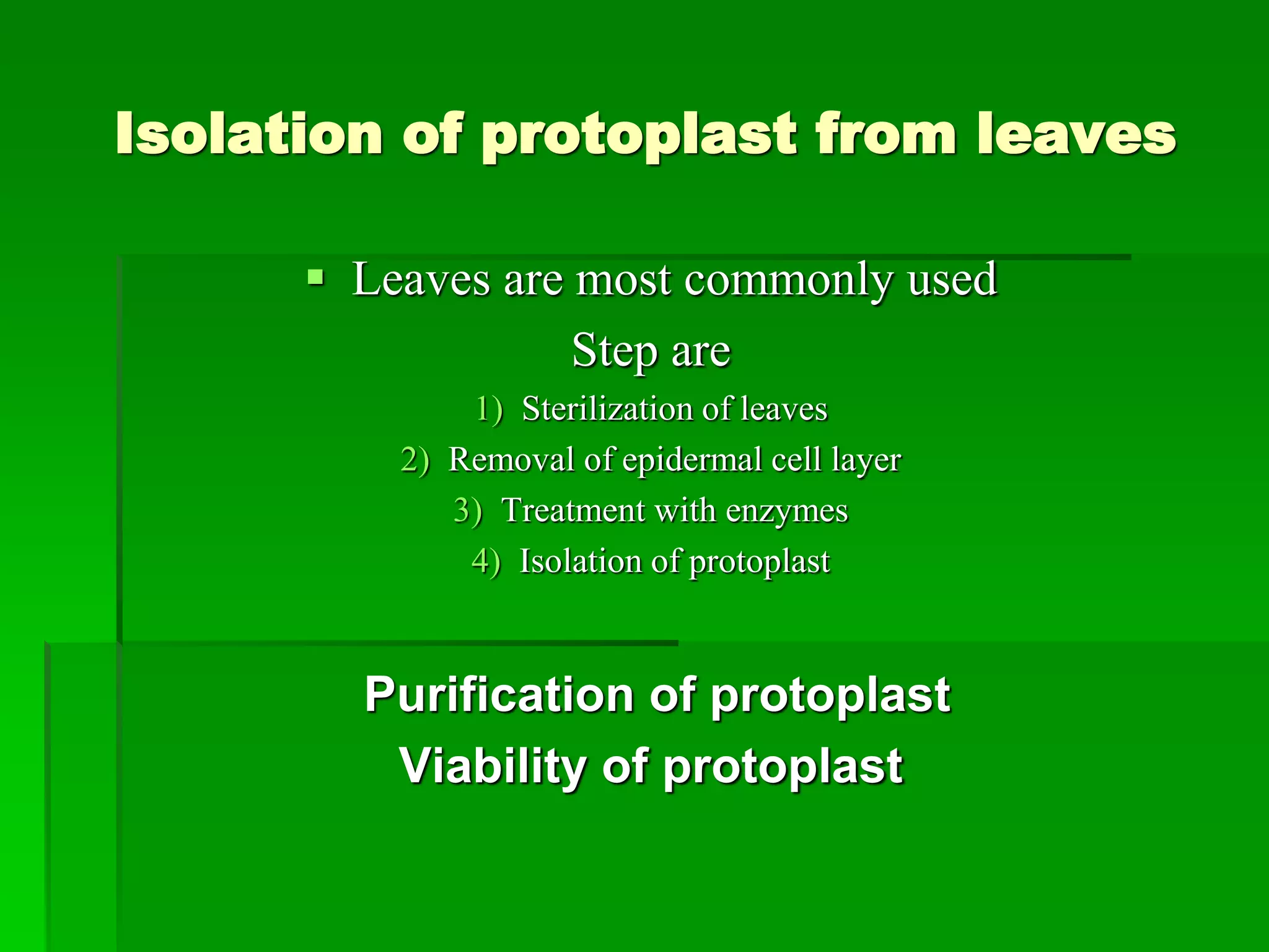 Protoplast culture | PPTX