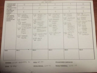 DAILY REPORT, GRA. | PPT