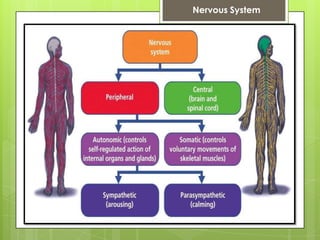 Final psycho ppt | PPTX