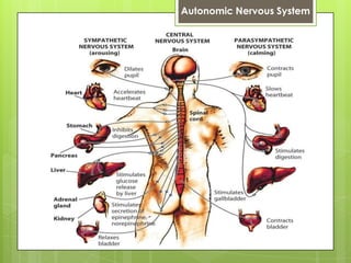 Final psycho ppt | PPTX