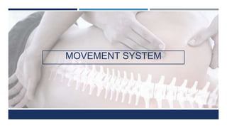 Physical Therapy Approach to Spine Care | PPTX