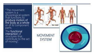 Physical Therapy Approach to Spine Care | PPTX