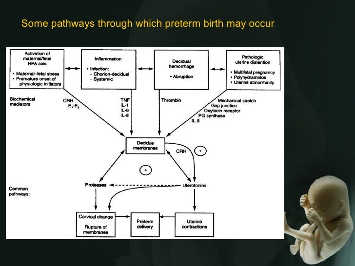 Preterm Labor by Yinka Oyelese