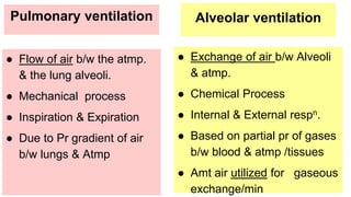 Pulmonary ventilation 2020 | PDF