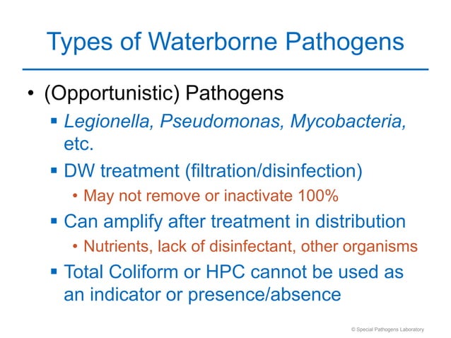 Puzzled by Infection Preventionists in Water Management? | PPT