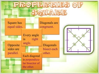 Quadrilaterals | PPTX