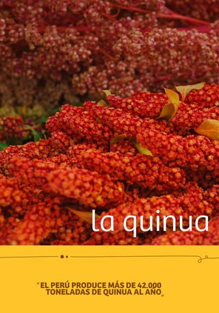 Catálogo de Oferta de Quinua - Español | PDF