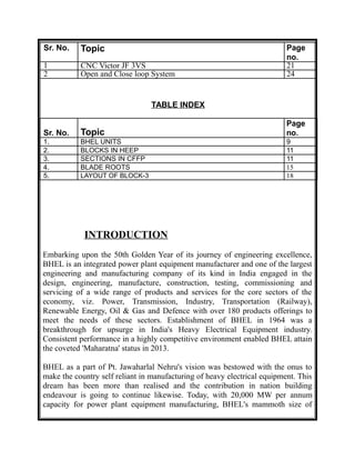 BHEL Final Report | PDF