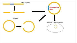 Recombinant DNA Technology | PPT
