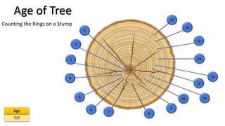 final reference.pptx