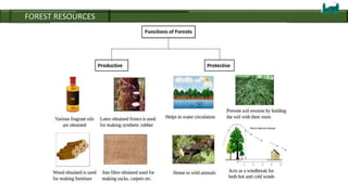 final reference.pptx