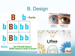 Final Reflection Brissey | PPT