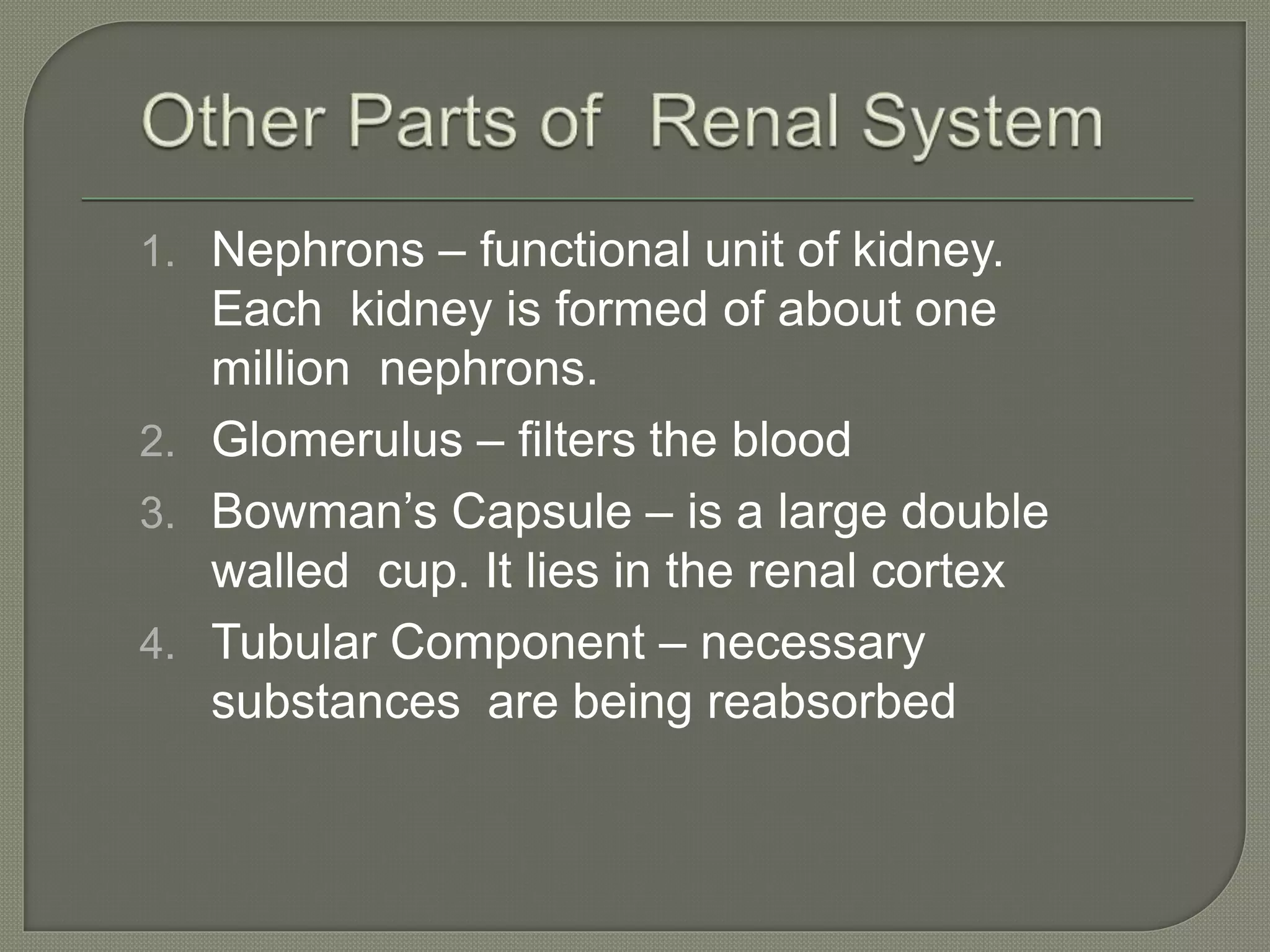 final renal seminar.pptx