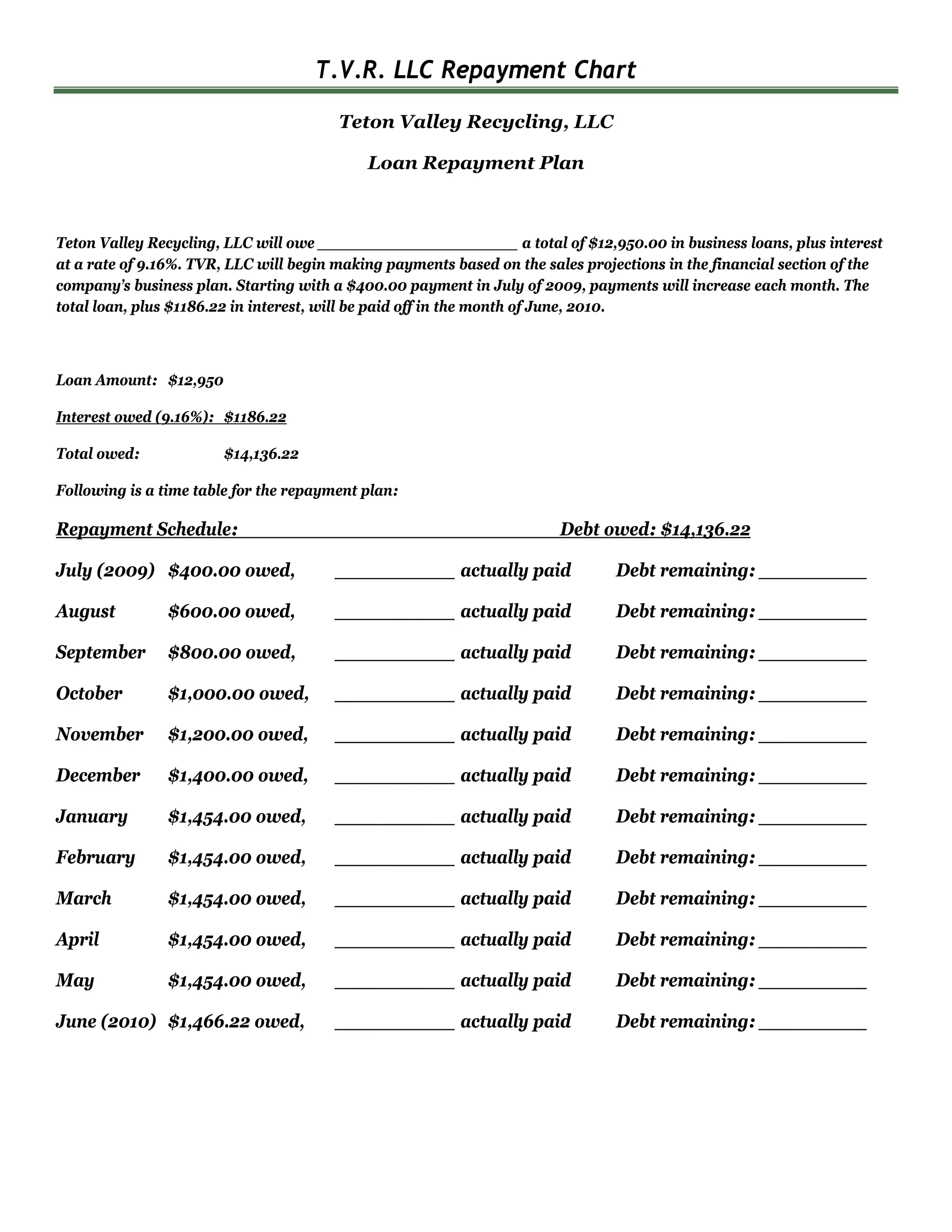 Final Repayment Plan | PDF