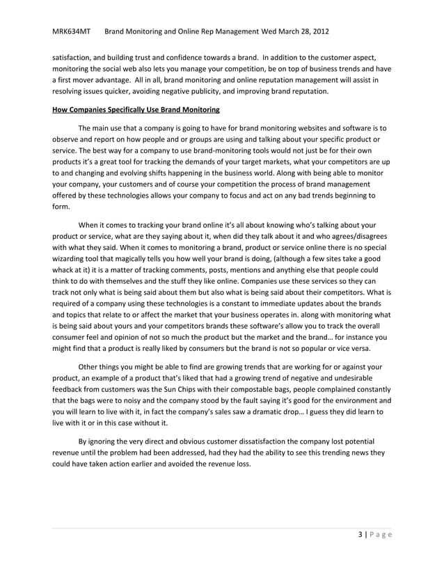 Final Brand Monitoring Report | PDF