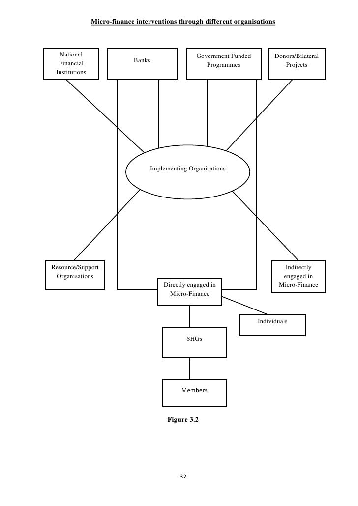 Microfinance : Project Report
