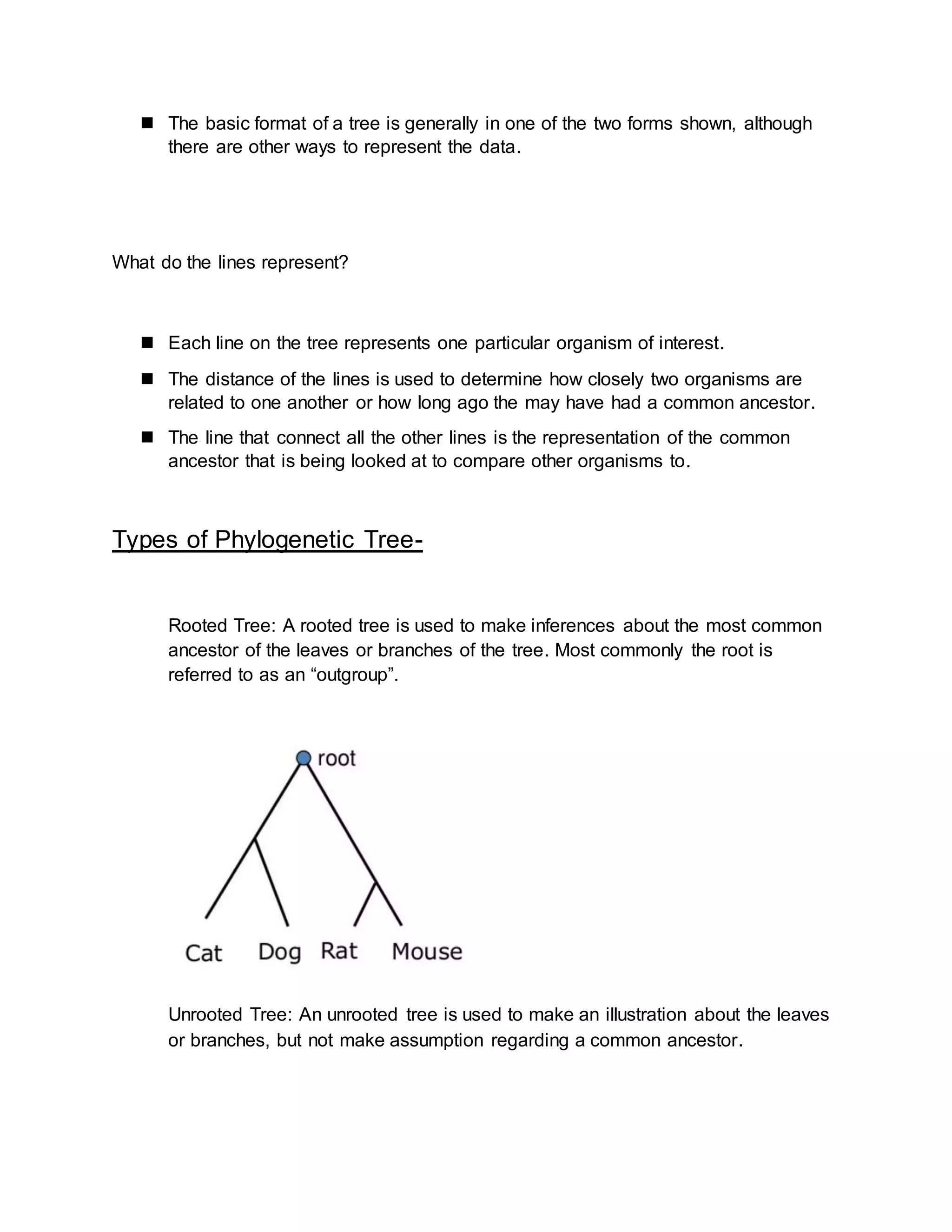 Report on Phylogenetic tree | DOCX