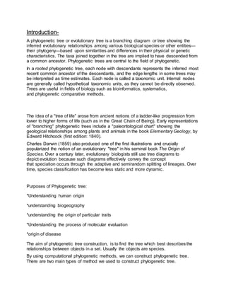 Report on Phylogenetic tree | PDF