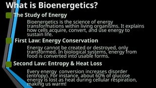 BIOENERGETICS AND ATP CYCLE/ PPT/ FREE!!! | PPTX
