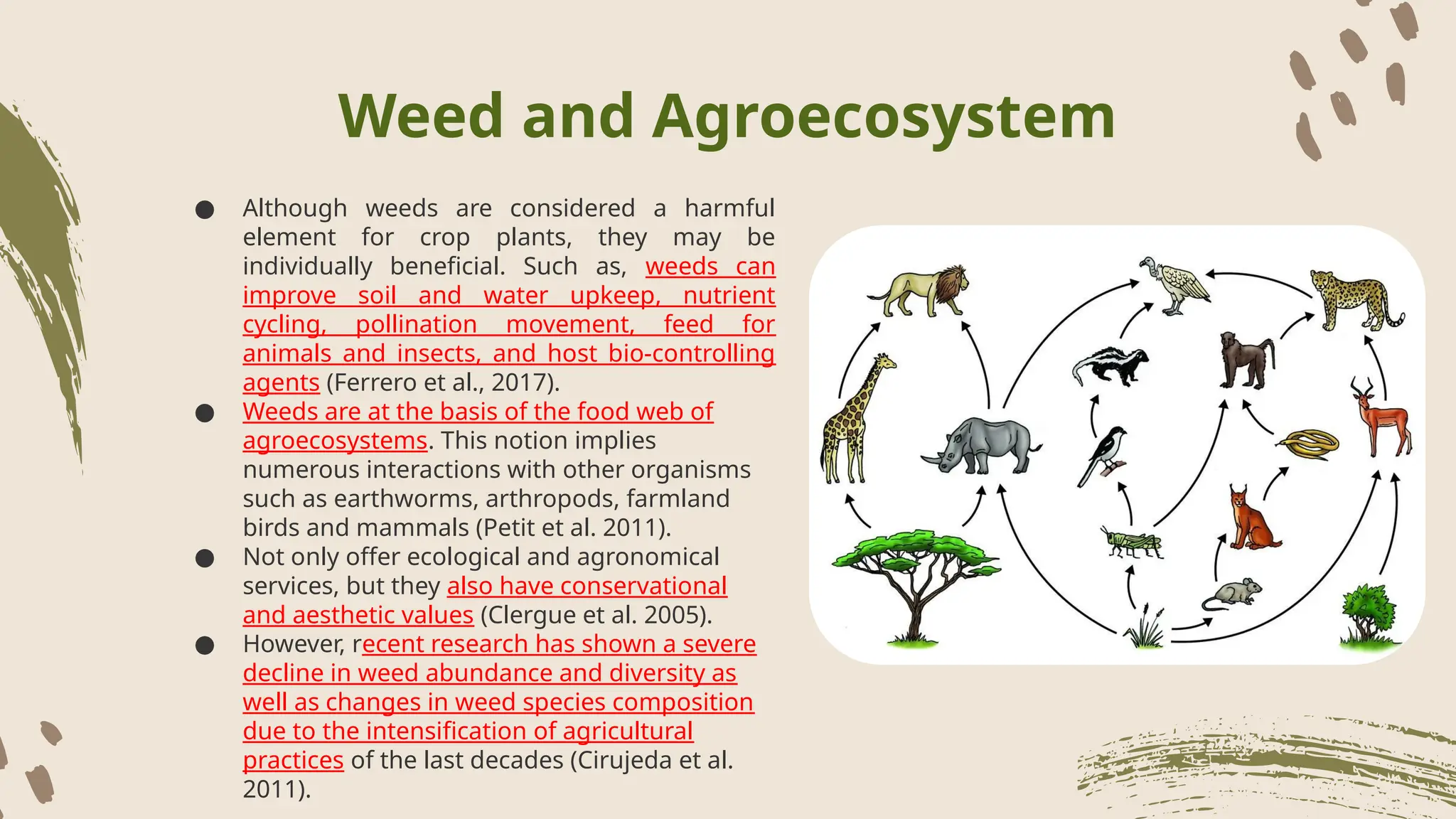 Identification of weed diversity and quantity in different type of farm ...