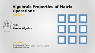 Algebraic Properties of Matrix Operations | PPTX