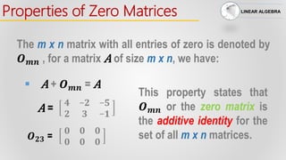 Algebraic Properties of Matrix Operations | PPTX