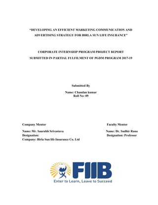 BIRLA SUNLIFE INSURANCE BSLI. SUMMER INTERNSHIP PROJECT | PDF