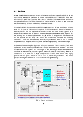 Final report on ntpc faridabad | PDF