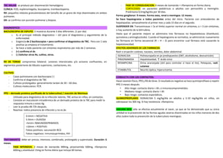 Medicina Interna -- Sistema respiratorio | PPT