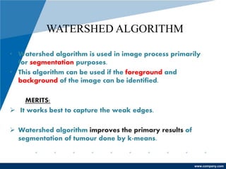 PPT on BRAIN TUMOR detection in MRI images based on IMAGE SEGMENTATION ...