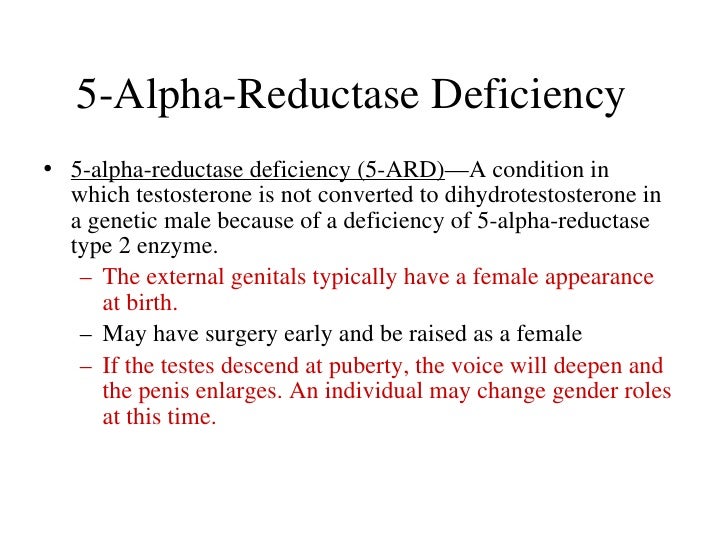 Final+review+bb+spring+10