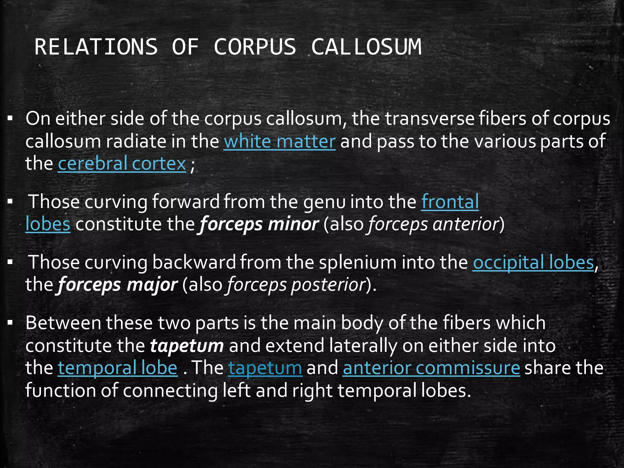 CORPUS CALLOSUM (Final Review Project) | PPT