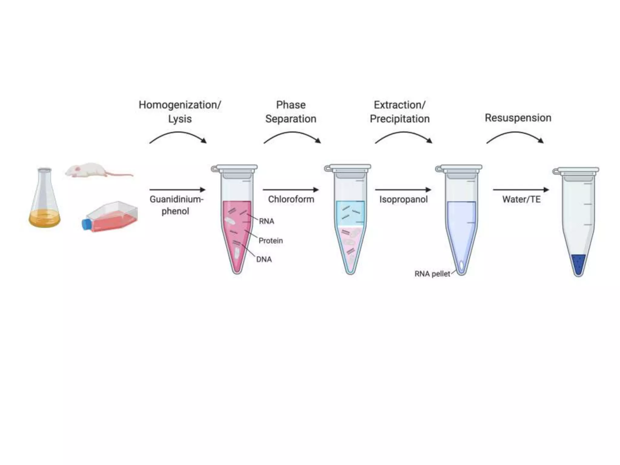 RNA isolation methods | PPTX