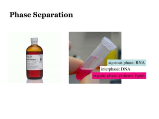 RNA isolation methods | PPTX