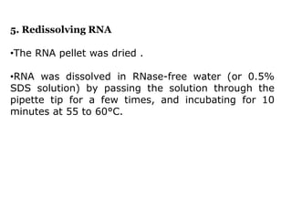 RNA isolation methods | PPTX