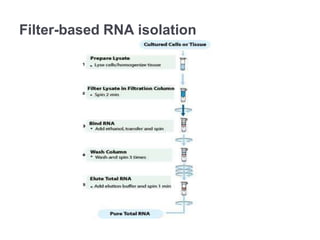 RNA isolation methods | PPT