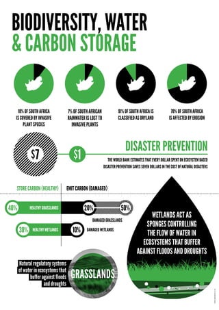 The Future Herald COP17 Newspaper | PDF